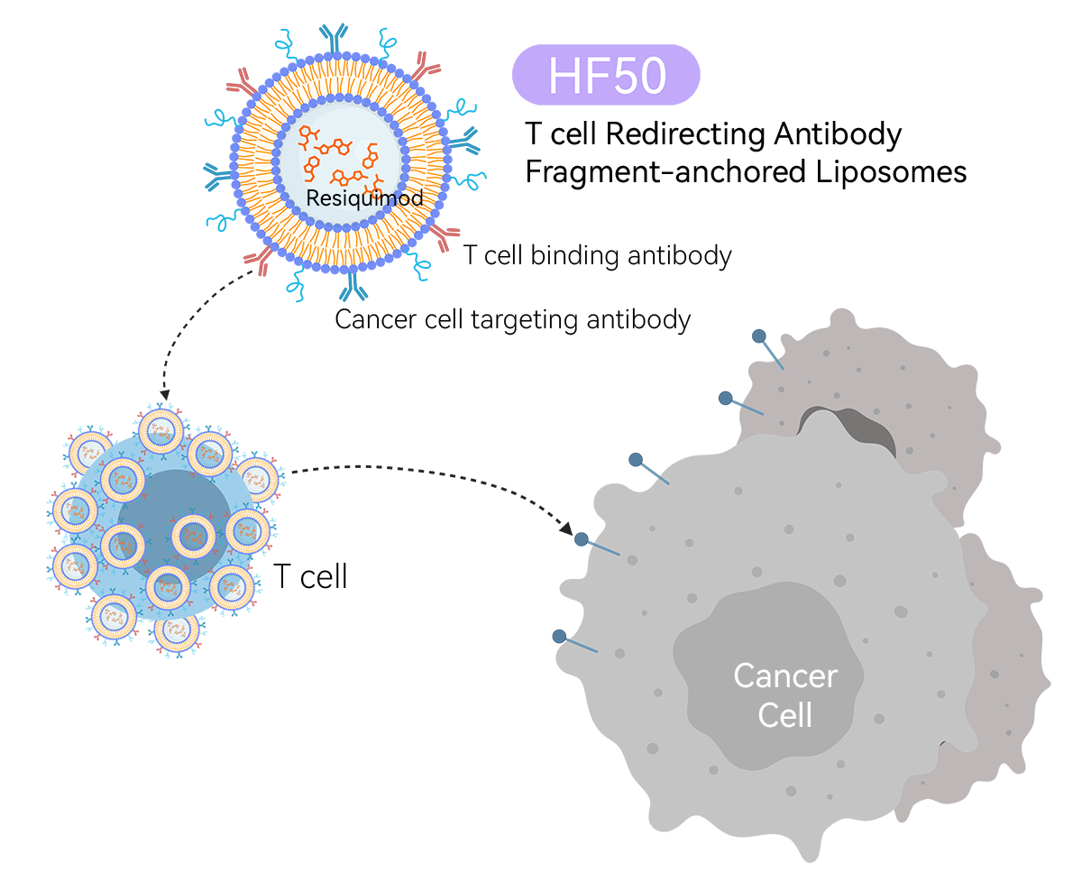 Pipeline - HighField Biopharmaceuticals